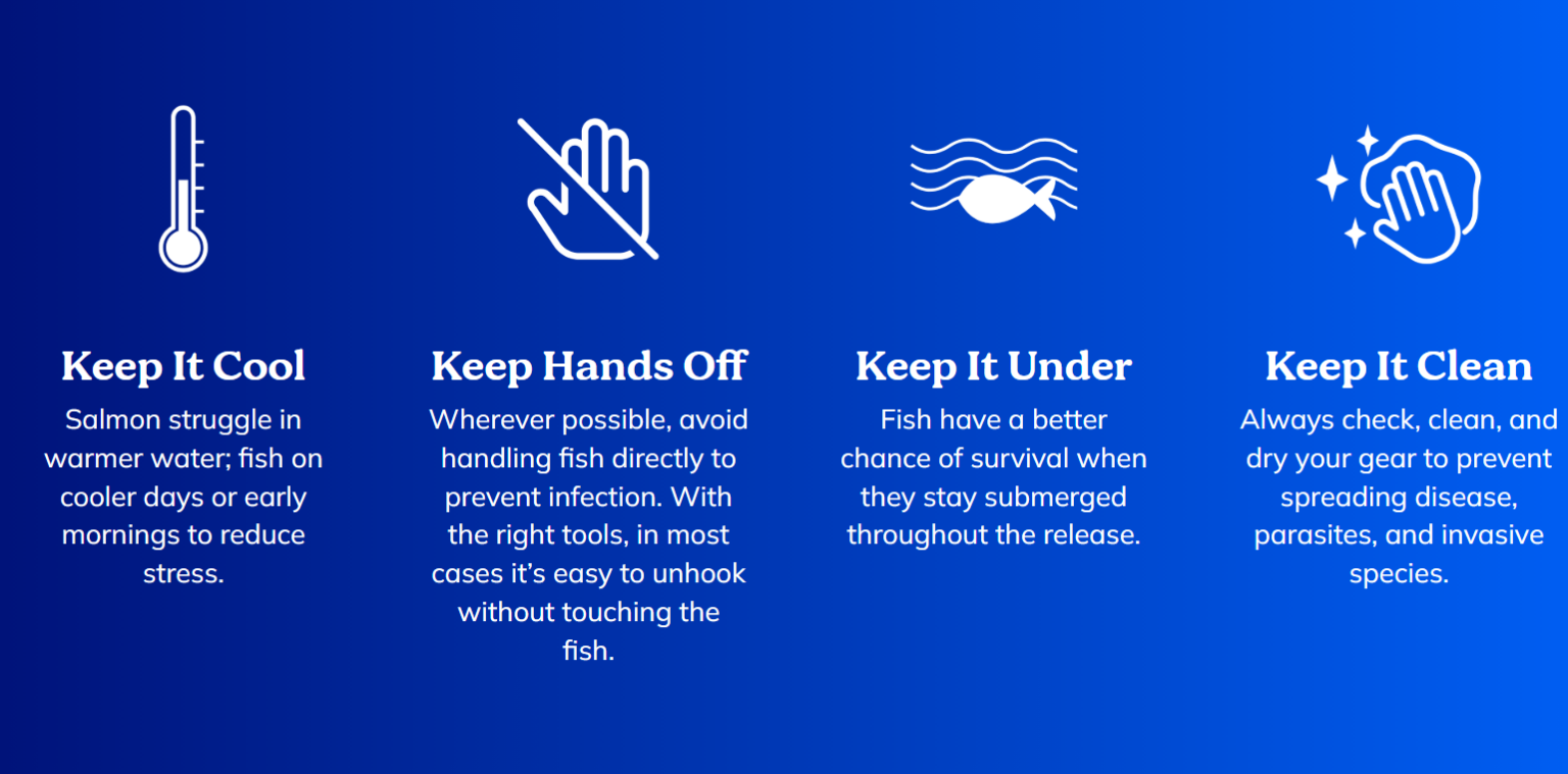 Fish Handling Guidance for 2026 - River Spey